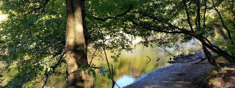 The green Prater – Prater adventure Tour