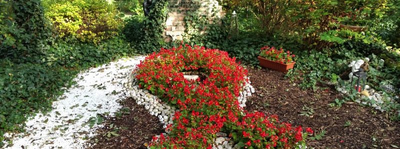 The green Prater – Prater adventure Tour